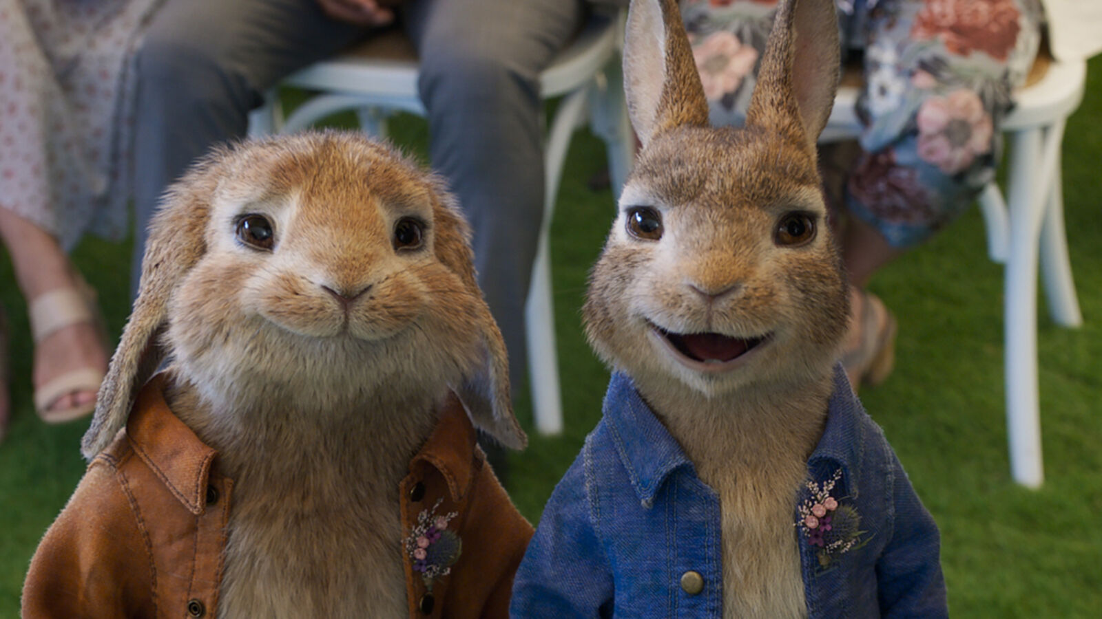 Peter Hase 2 - Ein Hase macht sich vom Acker — Passage Kinos Leipzig